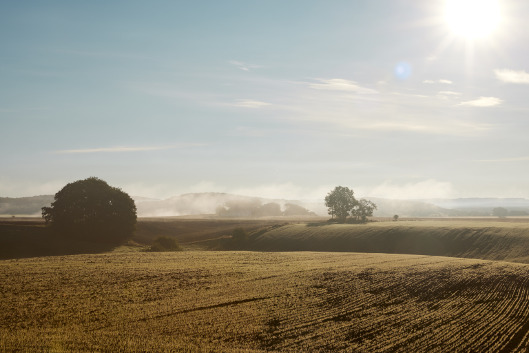 We integrate the sun into our everyday lives