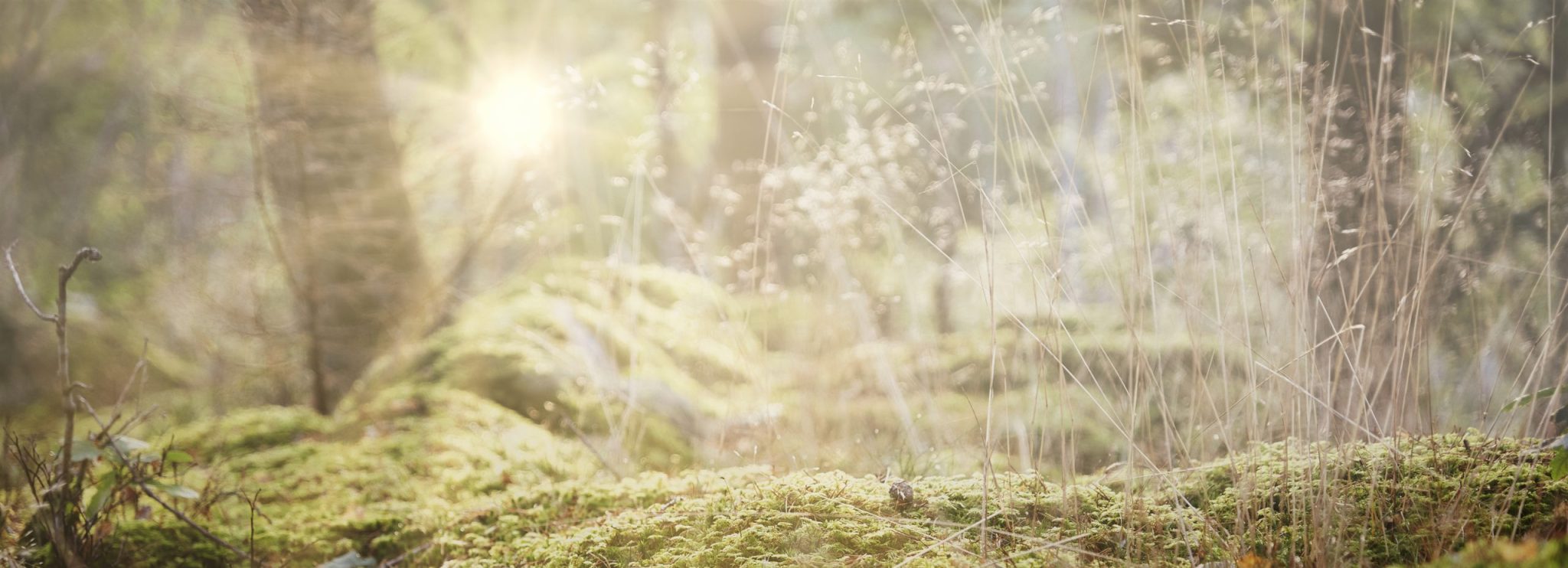 Kontakt | Soltech Energy – Vi är solteknologi